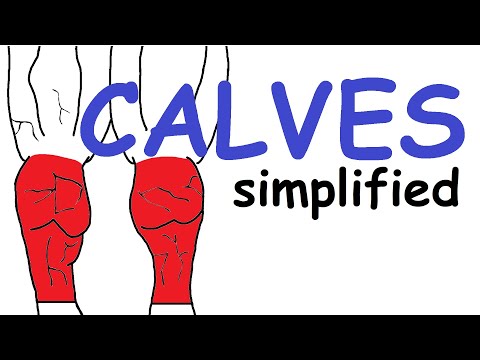 Ultimate Calf Training Guide for Bodybuilding Success | Tips ...