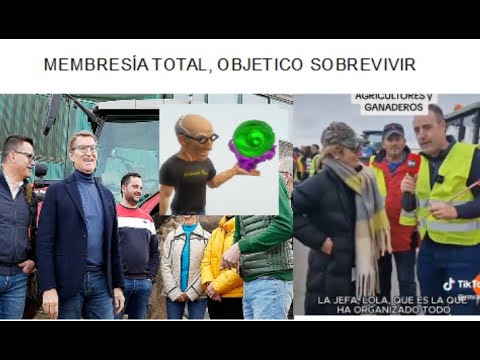 Influencia en YouTube: Fedelobo y Cris Martel abordan evolución y ...