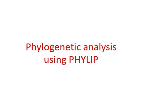 What is PhyloFlow and how is it used in phylogenetic analysis? - Ask ...