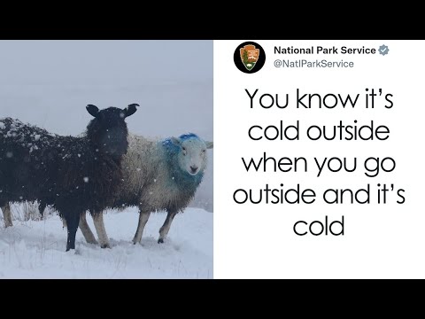 Social Media Genius: National Park Service's Hilarious Tweets Go Viral ...
