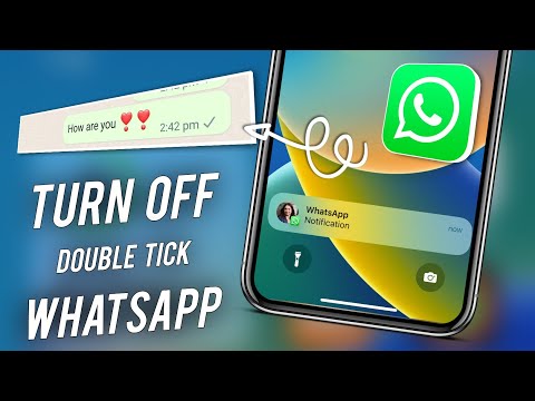 What do the double blue ticks in WhatsApp mean, and how can they be ...
