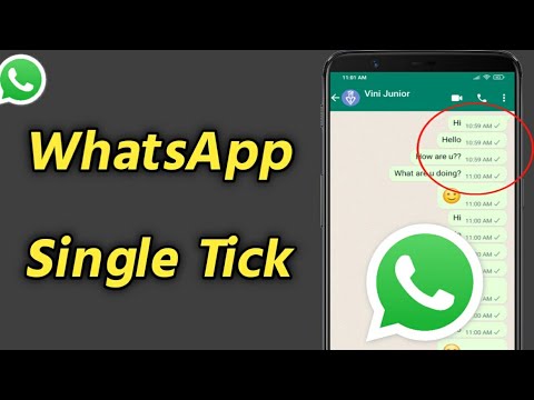 What do the double blue ticks in WhatsApp mean, and how can they be ...