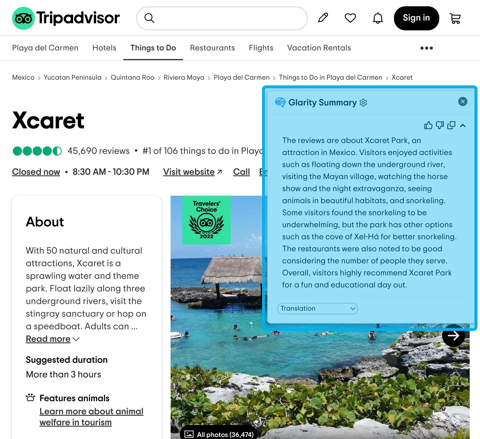 tripadvisor reviews summary